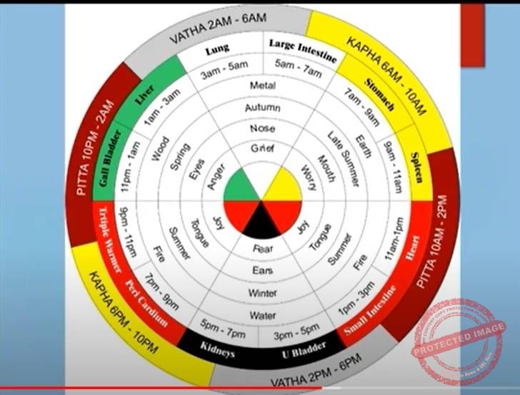 Healing Our Meridians with Sound Frequencies - Purpose Passion and ...